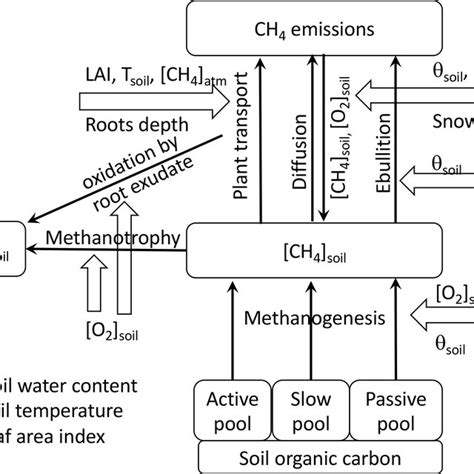 Model Diagram Of Methane Cycling Processes In Orchidee Pch 4 Carbon