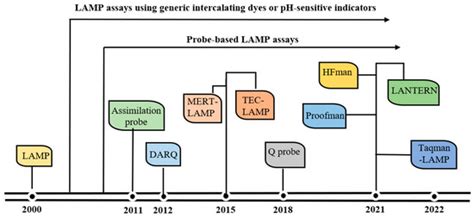 Evolution Of The Probe Based Loop Mediated Isothermal Amplification Lamp Assays In Pathogen