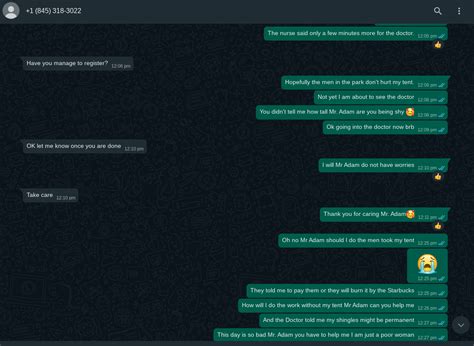 Playing With Scammers A Creative Writing Exercise Rscammerpayback