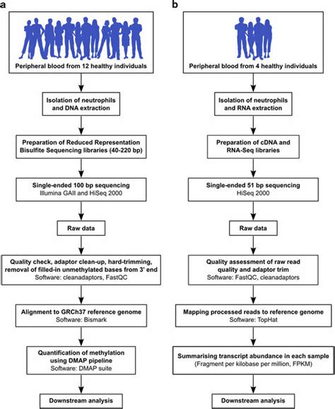 Description Of The Study And Experimental And Bioinformatics Pipeline
