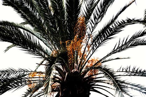 รูปภาพfrongs เลือกดูภาพถ่ายสต็อก เวกเตอร์ และวิดีโอ61 Adobe Stock