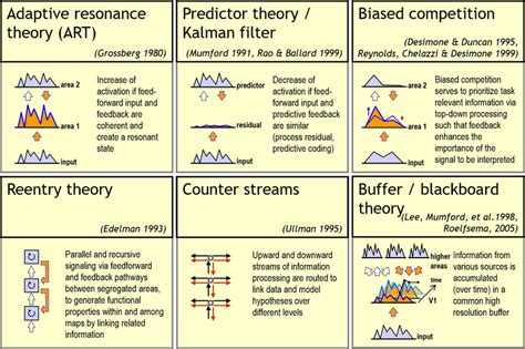 Theories Of Function Of Neural Architectures And Their Bottom Up And Download Scientific