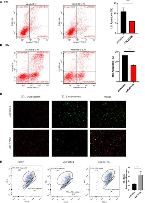Cd39 Cd73 Dysregulation Of Adenosine Metabolism Increases Decidual Natural Killer Cell