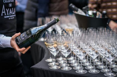 거품 꽃 낭만적인 럭셔리 레스토랑 레저 매우 복잡한 미식가 바다 바다 전망 붓는 브런치 샴페인 서비스 술 술을 마시다 스타일 스파클링 와인