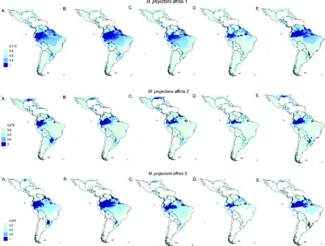 Environmental Distribution Models Predicted By Maximum Entropy For Each