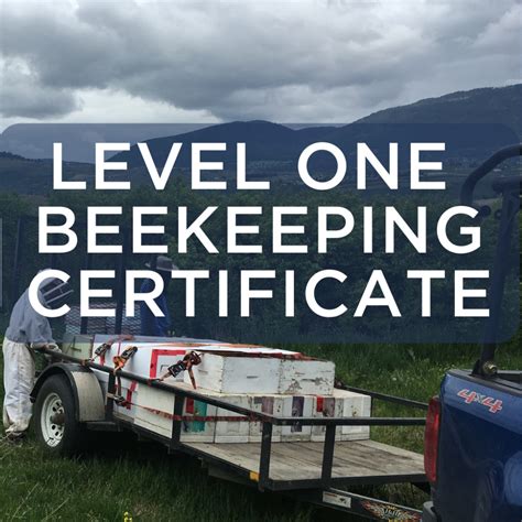 Self Guided Level One Beekeeping Certificate Abc Bees