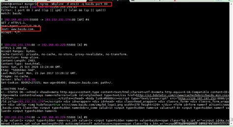 linux下网络抓包工具 ngrep csdn博客