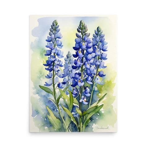 Bluebonnet Watercolor Art Print Texas Wildflowers Botanical Wall Art
