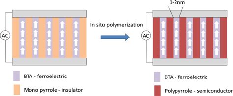 Schematic Representation Of The Intended Ferroelectric Diode Design Download Scientific