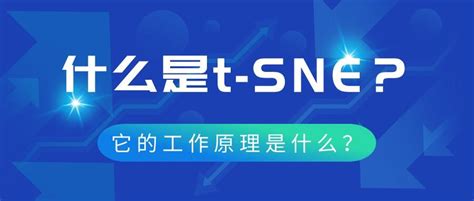 t 分布随机邻域嵌入实现原理 哔哩哔哩