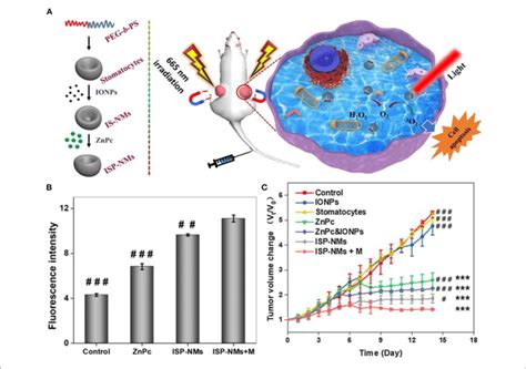 A Schematic Diagram Of Isp Nms And Application For Cancer