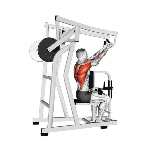 Single Arm Row Machine A Comprehensive Guide To Unilateral Back Strength