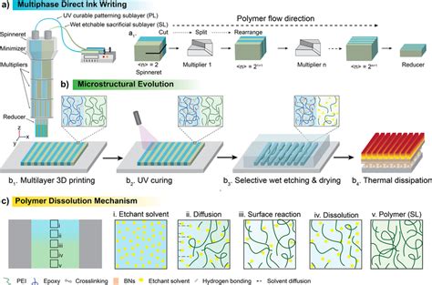 Fabrication Strategy For Micropatterns With Mdiw 3d Printing And Wet