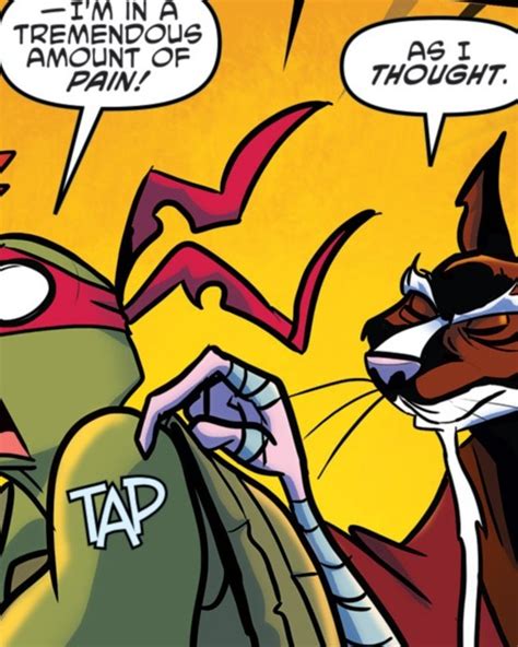 Tmnt New Animated Adventures 2013