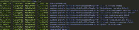 求助Linux大佬服务器tmp文件夹一直有类似file eVytb文件进程中也存在对应名字的占用 开发调优 LINUX DO