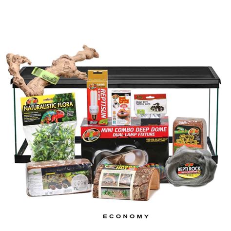 COMPLETE Ground Boa Setup Underground Reptiles