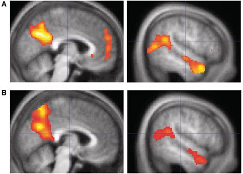 Main Effects Relative To Physical Causality For A Affective Tom And
