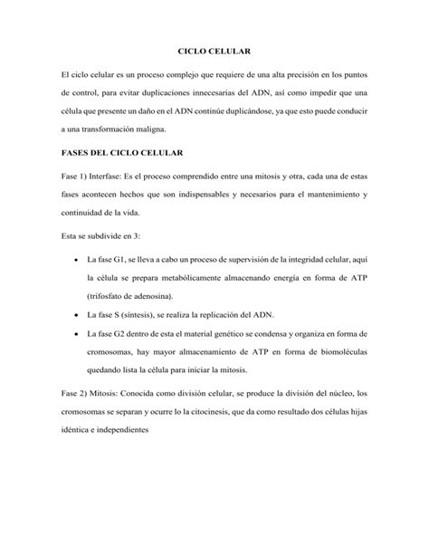 Ciclo Celular Fases Regulación Y Puntos De Control