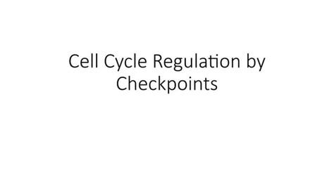 Cell Cycle Regulation By Checkpoints Pptx
