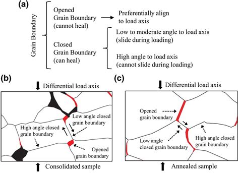 Classification Of Grain Boundaries In Deformed Samples A Download Scientific Diagram