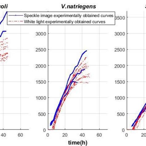 Dynamics Of Colony Growth Radius Over Time The Colony Radiuses Of E Download Scientific