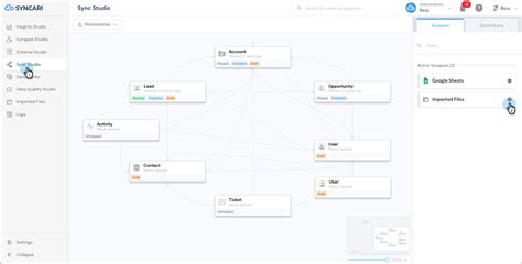 using the imported files synapse syncari