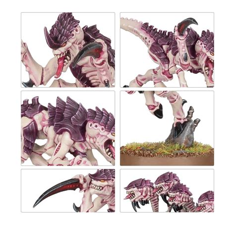 Copy Of Tyran Des Ruches