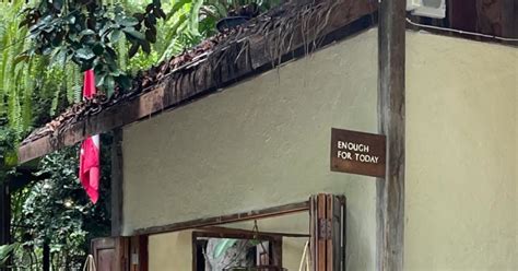 치앙마이의 3층 주택에서 고양이 두 마리와 함께 사는 집 홈터뷰