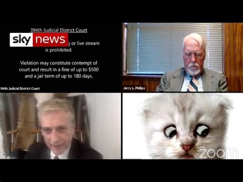 Zoom Cat Lawyer Im Not A Cat Know Your Meme