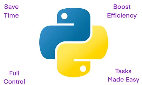 Automate Your Repetitive Tasks With Custom Python Scripts By Mayakreid Fiverr