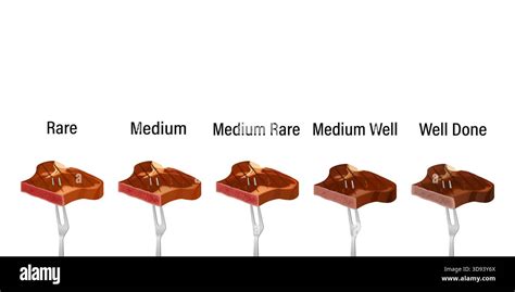 Beef Steak Doneness Chart Showing Various Cooking Levels Stock Vector