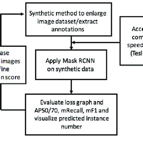 Structure Of A Mask RCNN Model From 24 Download Scientific Diagram