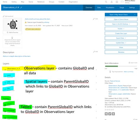 The Observations Feature Layer Explained