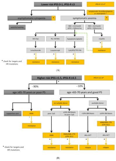 Mds Encyclopedia Mdpi