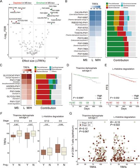 Metagenome Inference Of Microbial Pathways A Screening Download Scientific Diagram