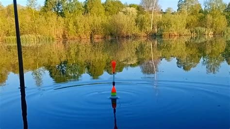 Рыбалка на поплавок АКТИВНЫЙ КЛЁВ КАРАСЯ Youtube