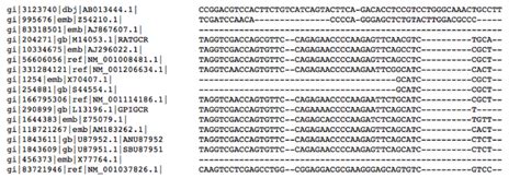 Soirée Bed And Fasta Bioinfo