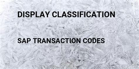 Display Classification Tcode In Sap Transaction Codes List