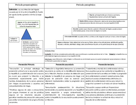 Historia Natural De La Enfermedad Hepatitis B Periodo Prepatogénico