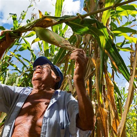 The Nature Conservancy In Latin America