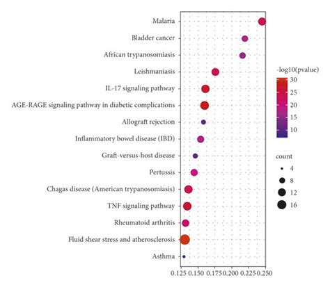The Top 15 Remarkably Enriched Go And Kegg Pathway Analyses Of