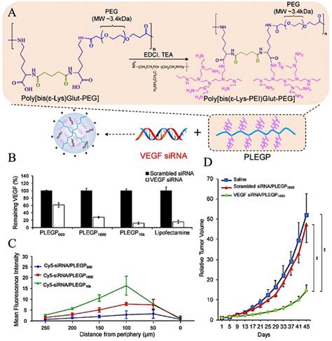 Anti Tumor Activity By Vegf Sirna Loaded Plegp Nanoparticle A Download Scientific Diagram