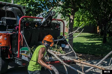 Wichita Tree Service Tree Removal Tree Trimming Land Clearing