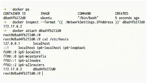 The Intricacies Of Docker Networking Open Source For You