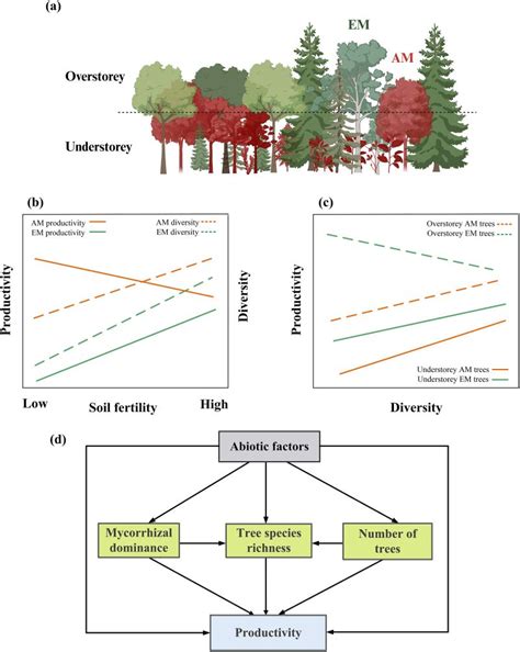 Forest Ecosystems On Linkedin Forest Biodiversity