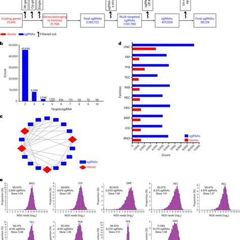 Multi Targeted Genome Scale Sgrna Design And Construction A Schematic