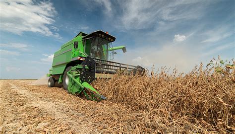 Nopa March Crush Above Average Estimate Mckeany Flavell