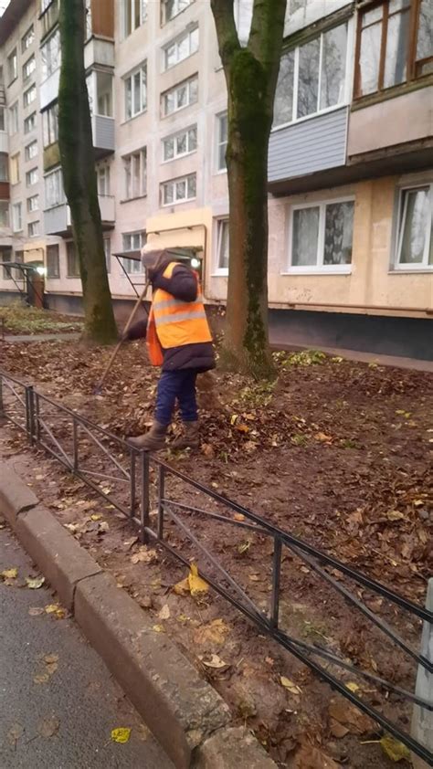 Сегодня 03 11 2022 на территории ООО ЖКС №1 Фрунзенского района