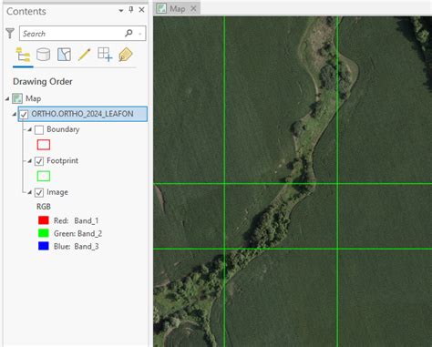 Disable Mosaic Dataset Footprint Layer For All Arc Esri Community