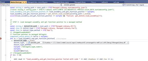 can t load managed library in natively hosted runtime · issue